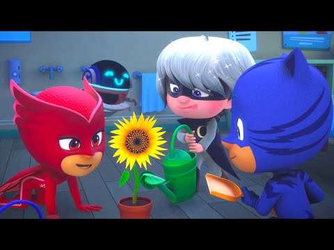 PJ Masks get turned into Babies! 🍼 PJ Masks Official