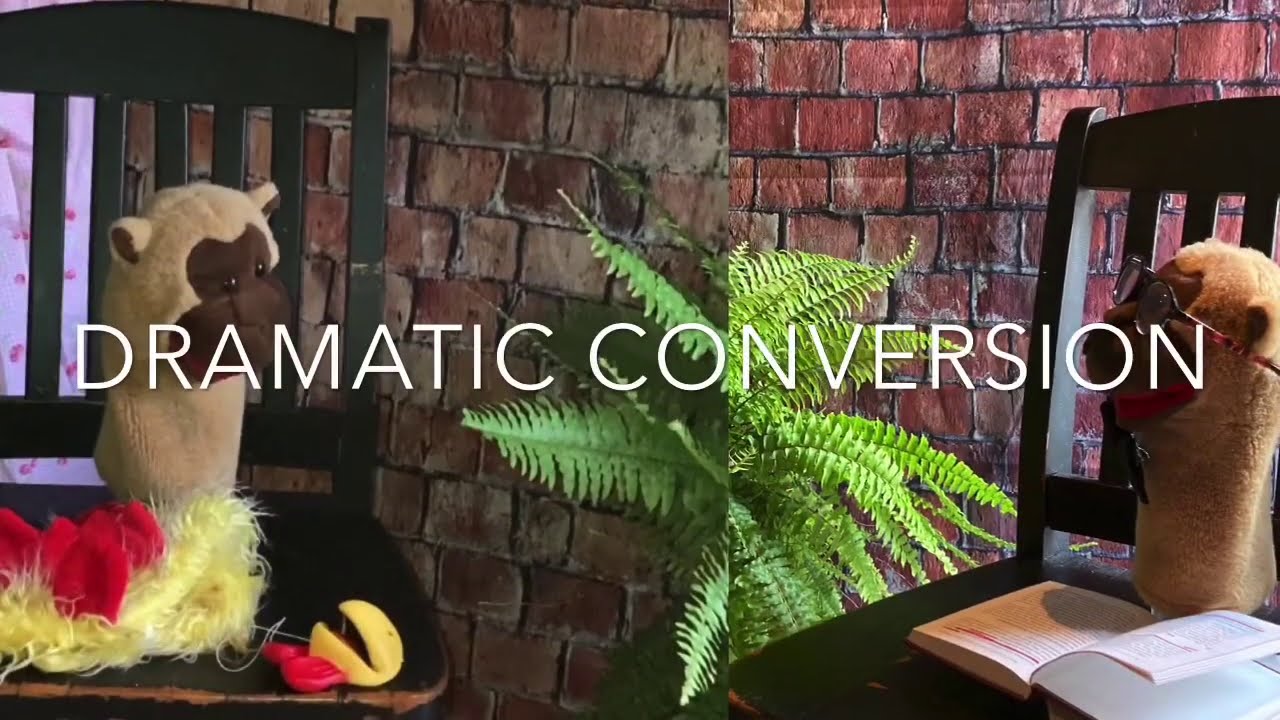 What is dramatic literacy? Mark, Me, & You - A dramatic conversation ...