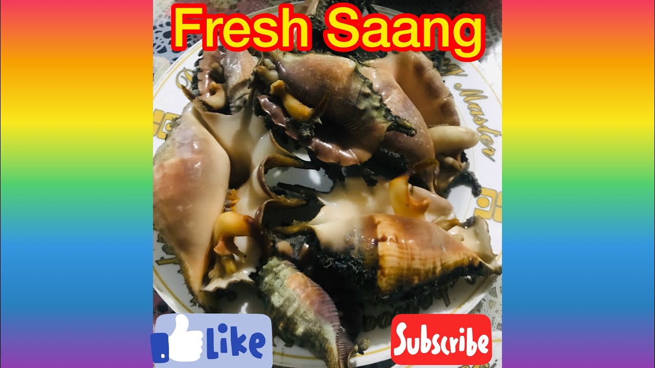 Fresh Saang from the Sea (Seafood) - YouTube
