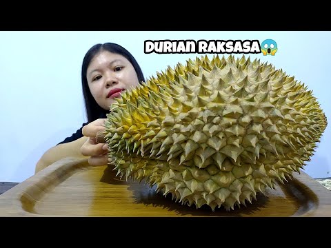 MUKBANG DURIAN MONTONG PALU