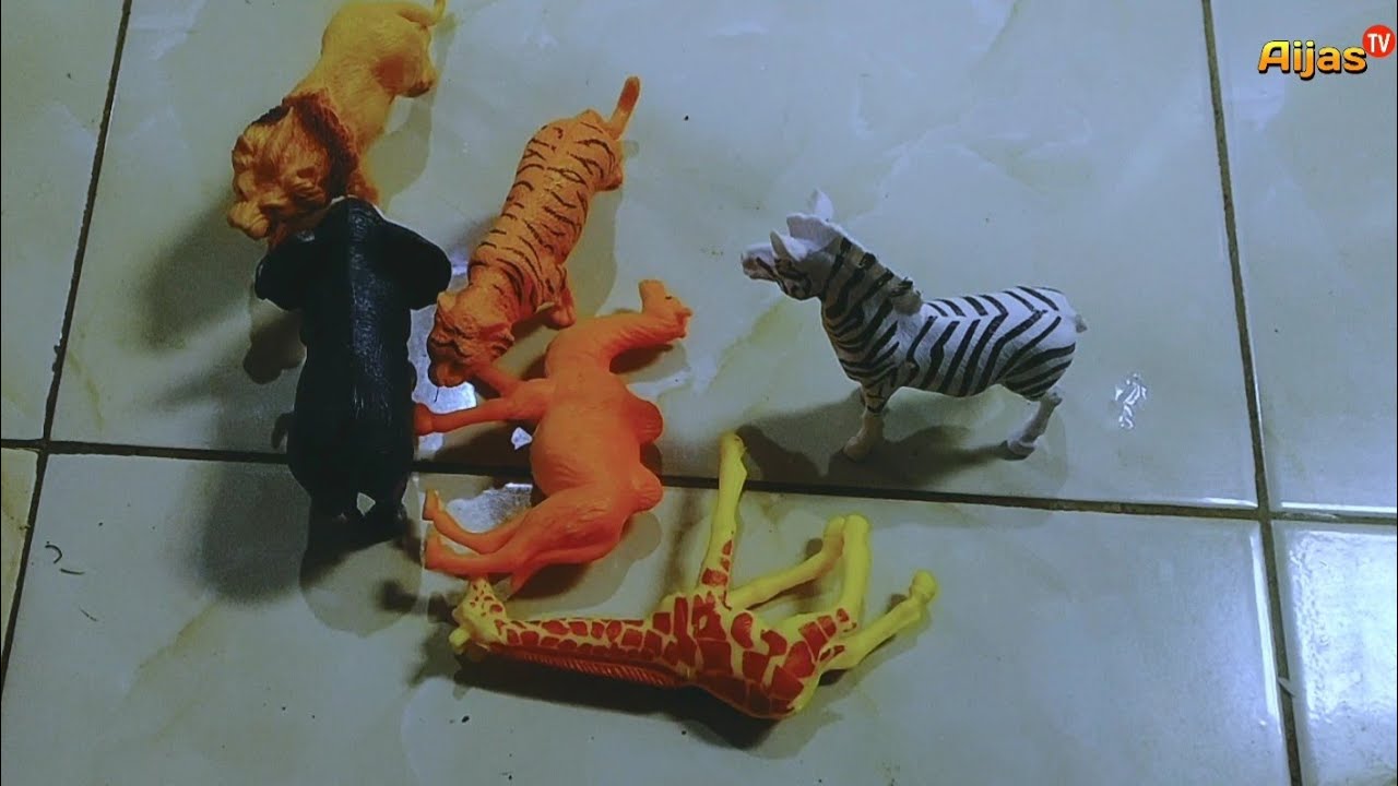 Menemukan mainan baru hewan jerapah,gajah,harimau,zebra, unta,singa ...