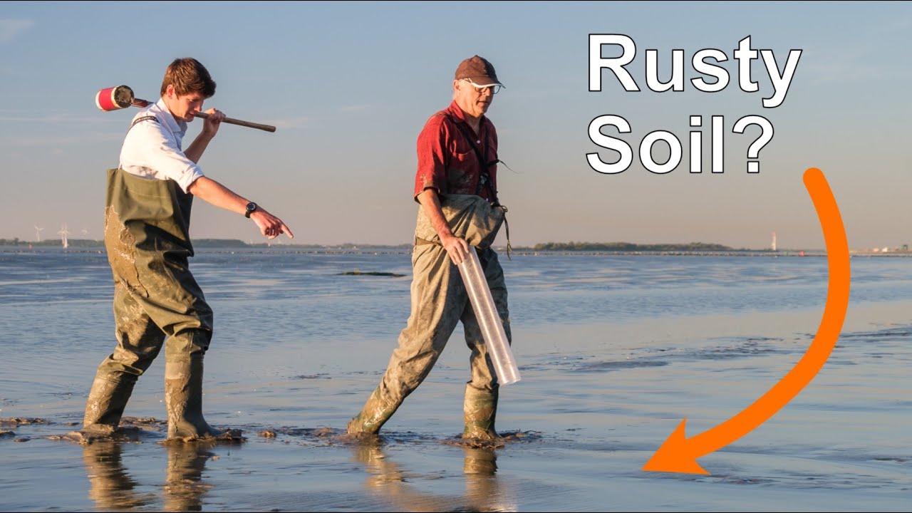 Rust in soils – What happens when microorganisms breathe iron? - YouTube