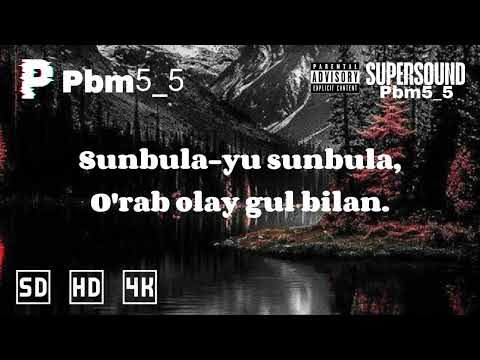 Rayhon - Sumbula (Qoʻshiq matni | Текст песни | Lyrics | Karaoke) (4K)