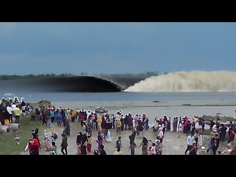 Fenomena alam kejadian  ombak bono mengamuk membuat pengunjung panik 7 November 2024