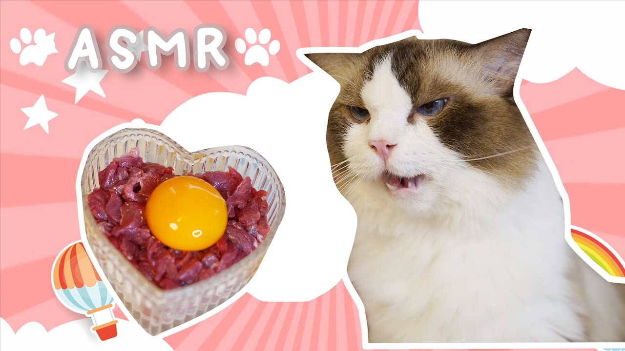 Satisfying cat eating,#cateating Heart made by Beef and Eggs for Lion ...
