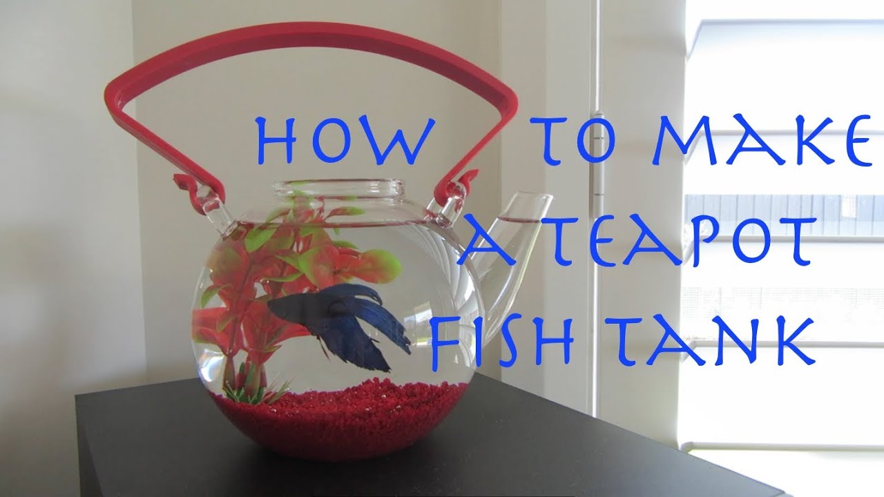 How to make a teapot fish tank - YouTube