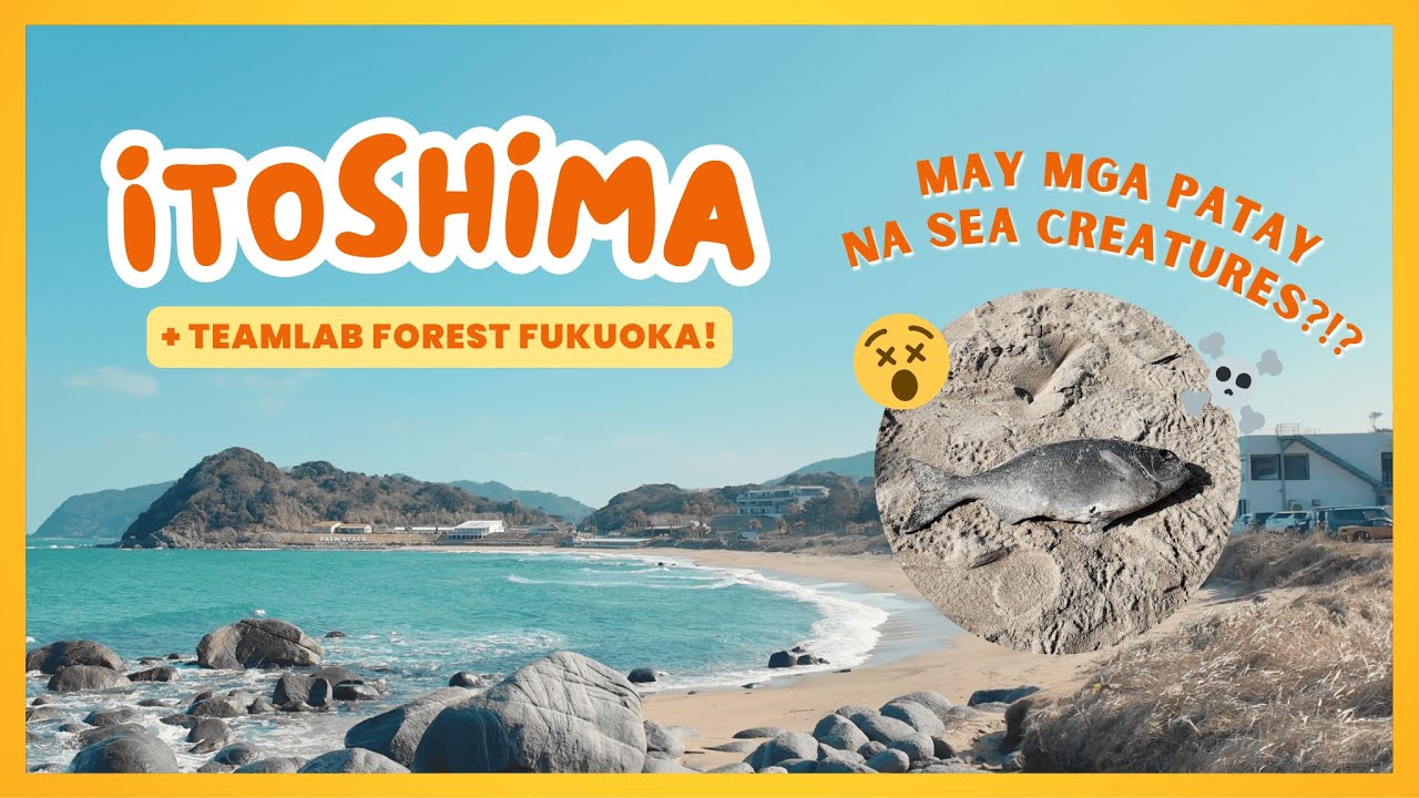 Itoshima Day! + teamLab, First Ramen in Fukuoka, Fave Snacks in Japan! - YouTube