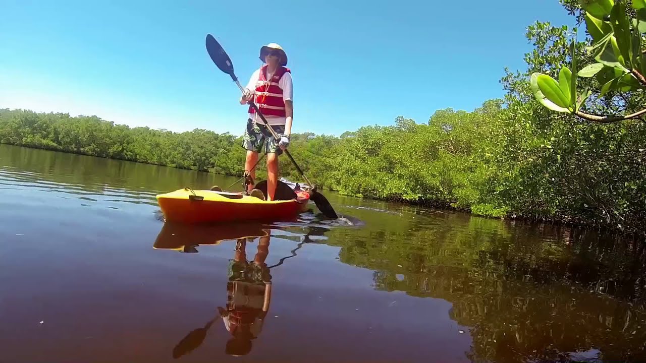 Cockroach Bay 2013 - YouTube