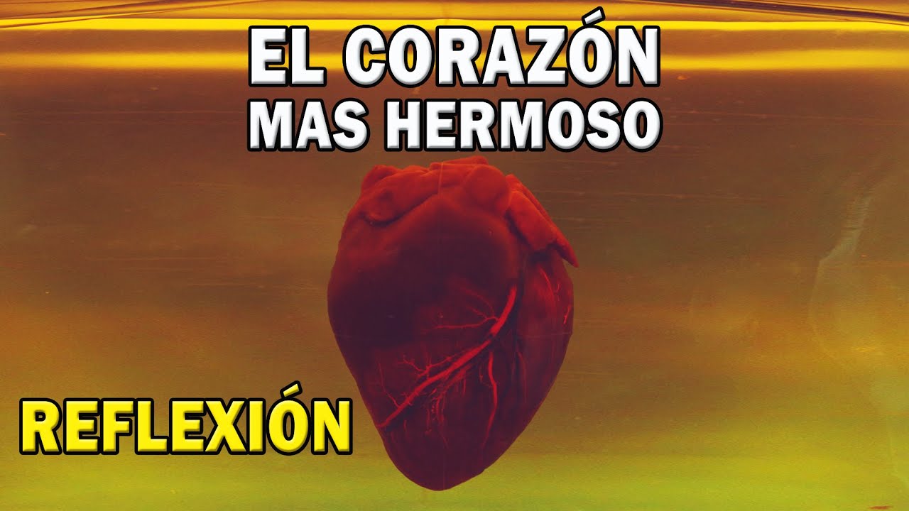 Reflexiones positivas para iniciar el dia, EL Corazón Mas Hermoso ...