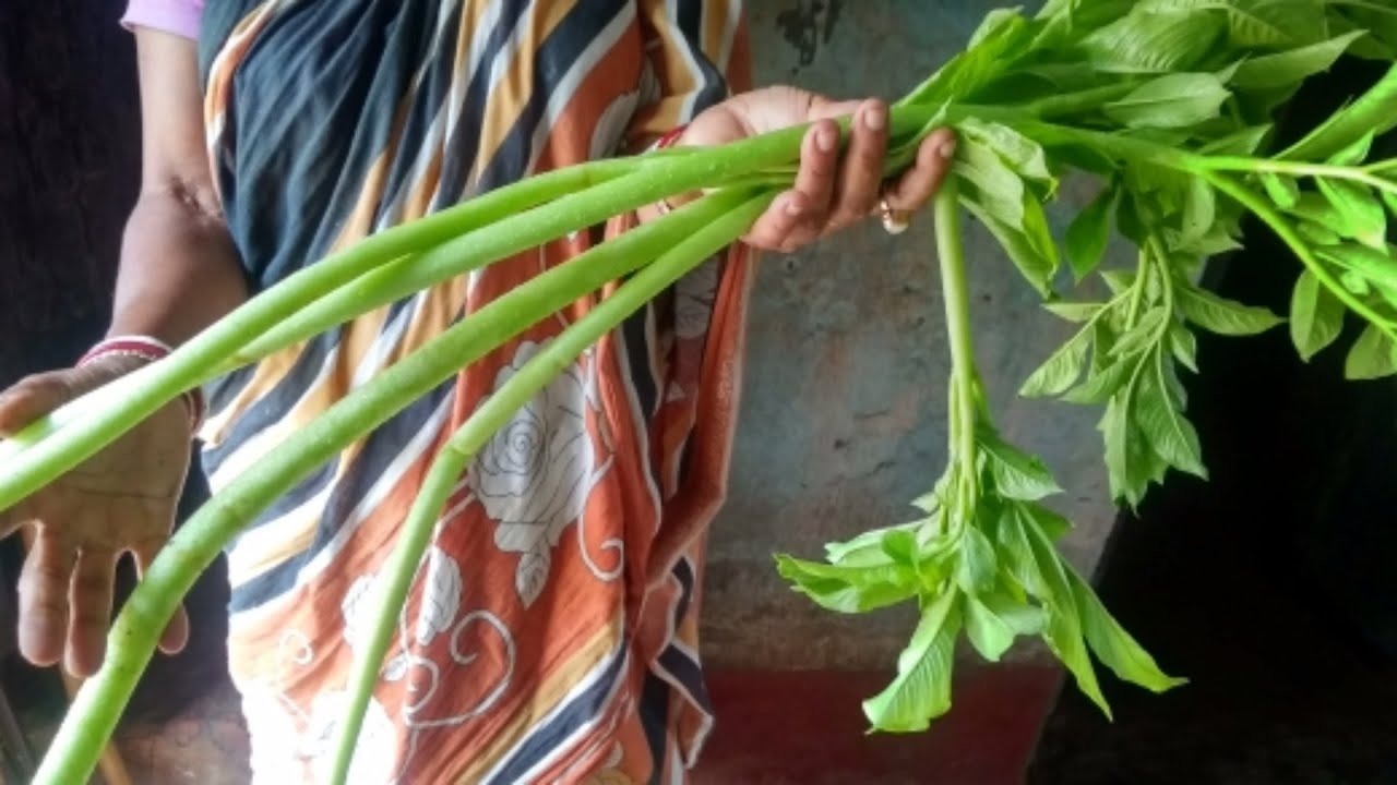 ওল(ওলা) এর ডাটা তরকারী - Bengali Oal Data Recipe - Indian Village Style ...