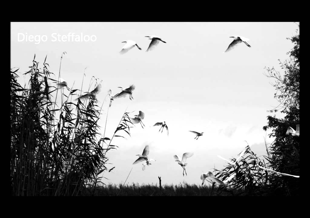 An Eerie Silence YouTube an-eerie-silence-youtube