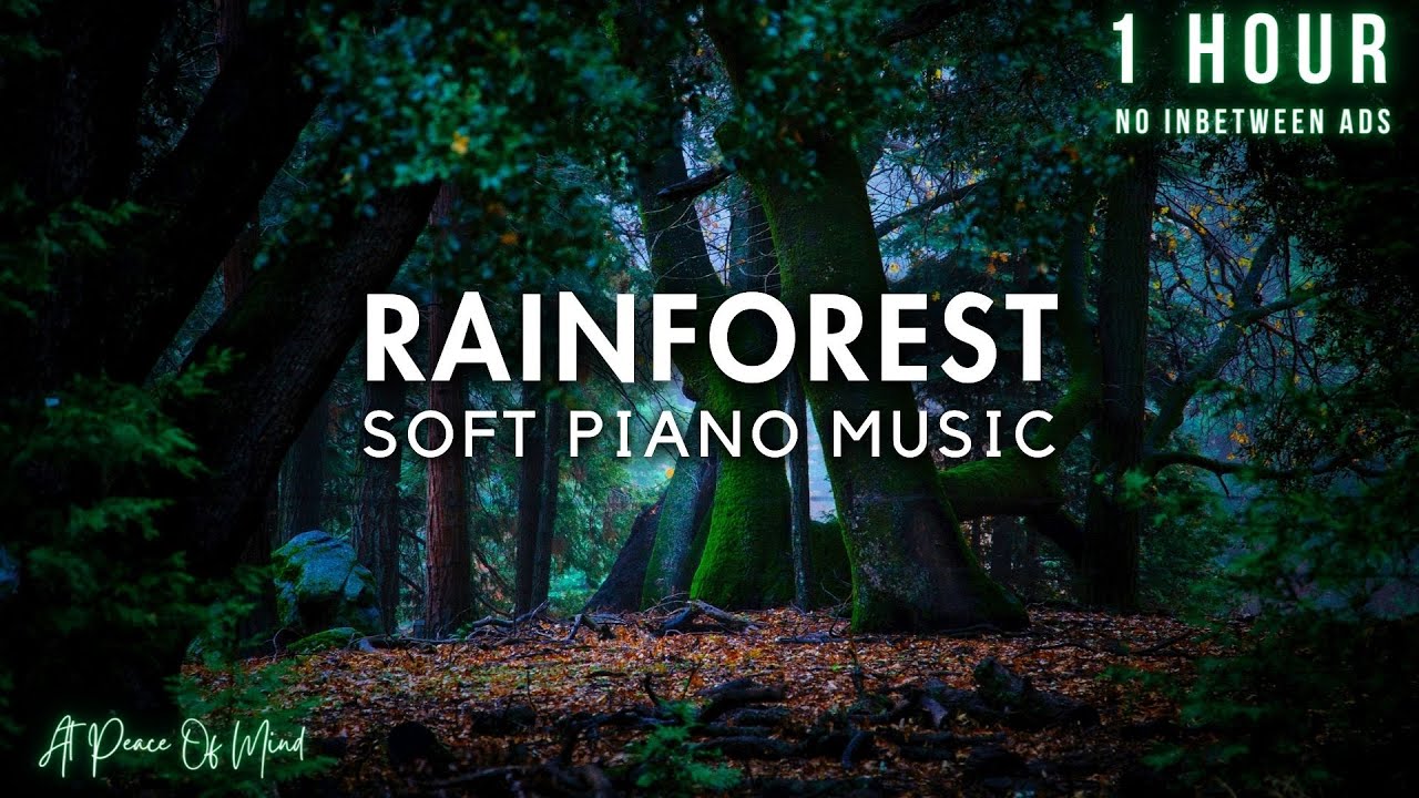 Rainforest | Soft Piano Relaxing Music for Sleep and Stress Relief ...