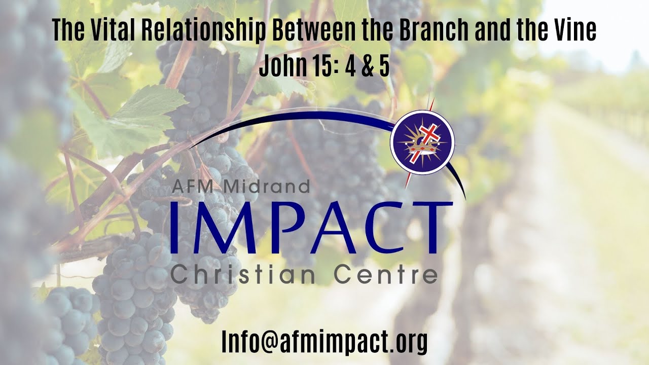 The vital relationship between the branch and the vine - YouTube