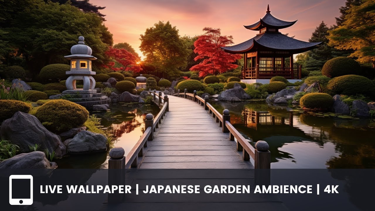 Live Wallpaper | Japanese Garden Ambience | 4k - YouTube