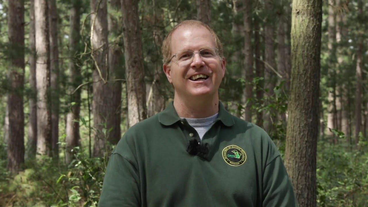 Forest Stewardship Programs - YouTube