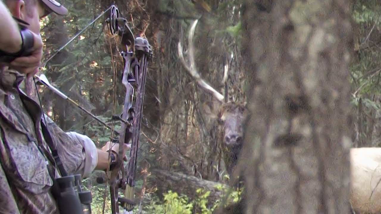 Bow Hunting Backcountry Elk with Guy Eastman - YouTube