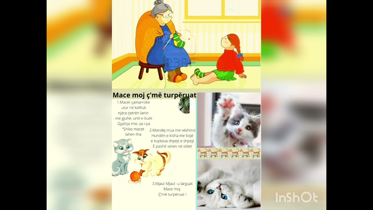 Vjersha me mace, qen, pula, gjela | Vjersha për fëmijë | - YouTube