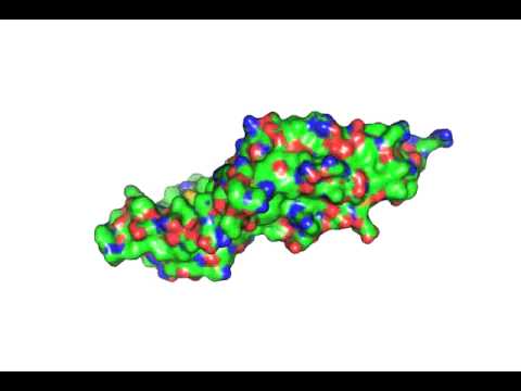 Structure of hcg hormone - YouTube