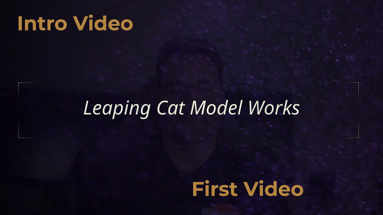 First Video for Leaping Cat Model Works -: Meet Jamie – The Story ...