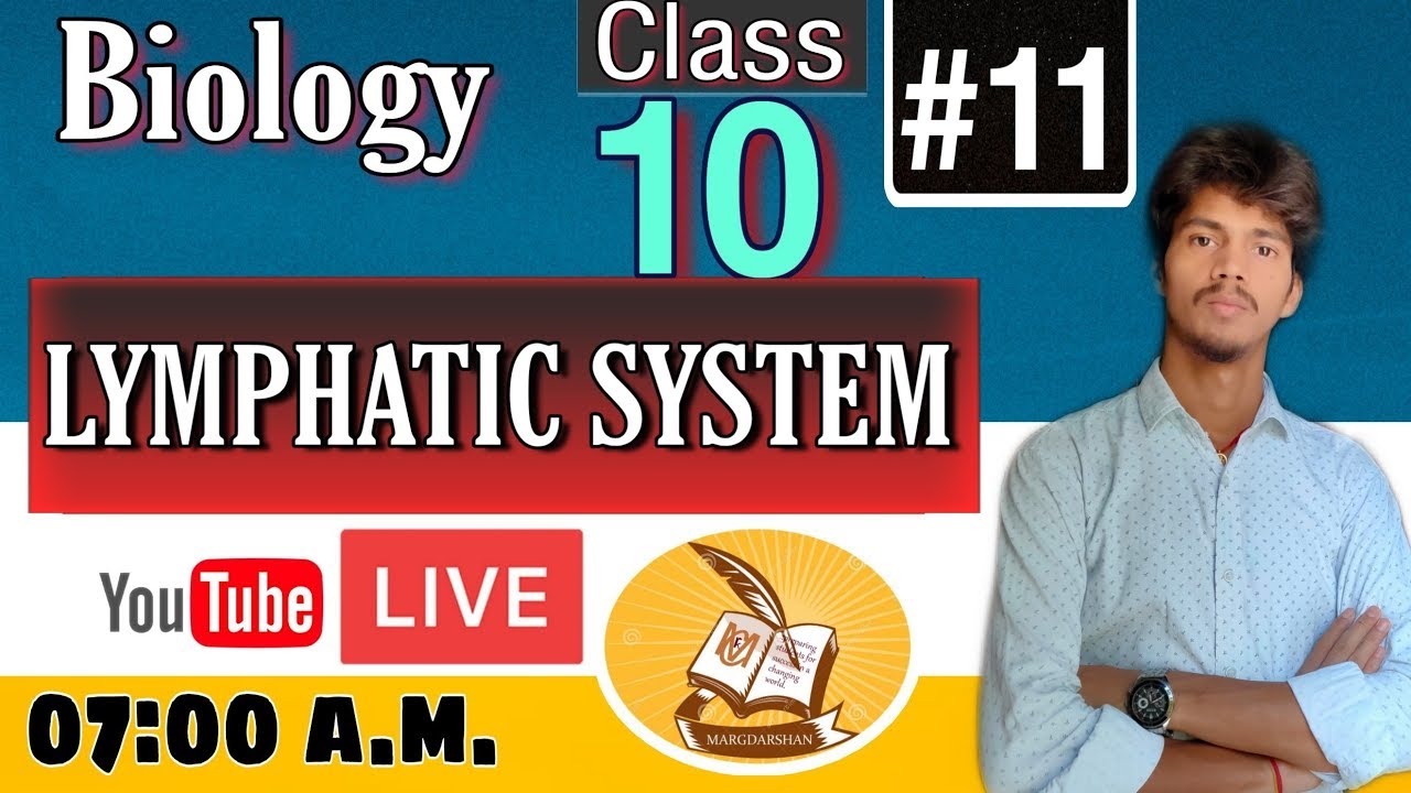 Lymphatic System | Part - 11 | Class 10 | Transportation In Humans ...