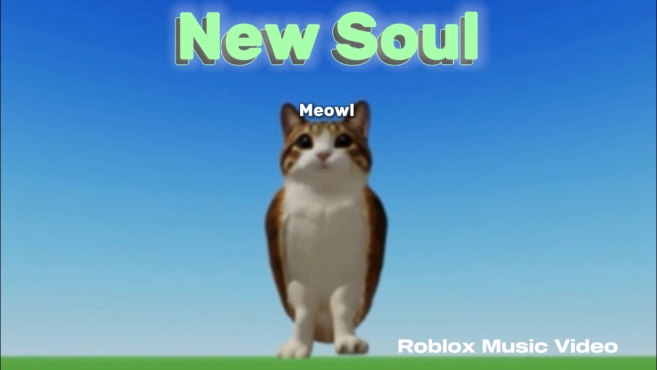 New Soul (Meowl) | Roblox MV 🦉🐈 - YouTube