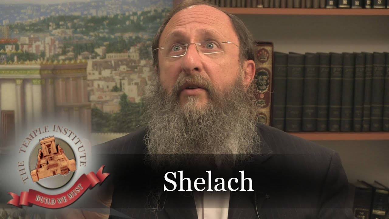 Weekly Torah Portion: Shelach - YouTube