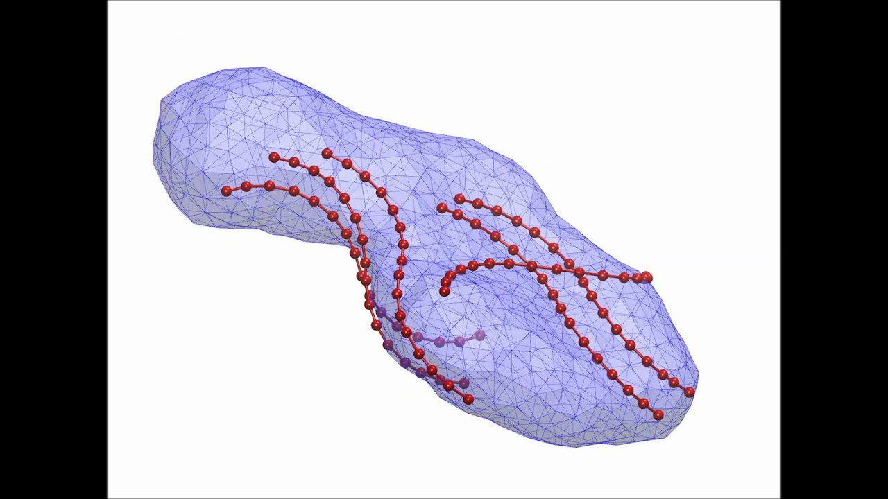 Scaffolding the cup-shaped double membrane in autophagy - YouTube