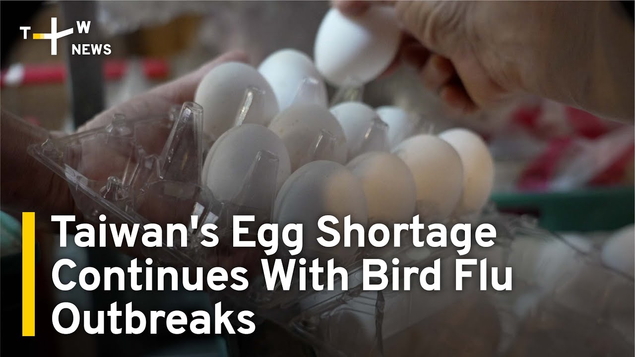 Taiwan's Egg Shortage Continues With Bird Flu Outbreaks | TaiwanPlus ...