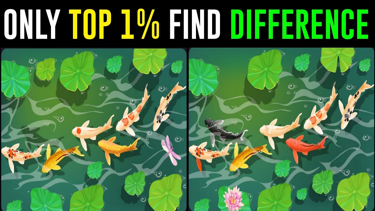 Spot The Difference : Only Genius Find Differences [ Find The Difference #63 ] - YouTube