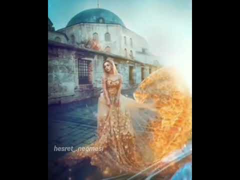 Ramin lenkaranli(12)