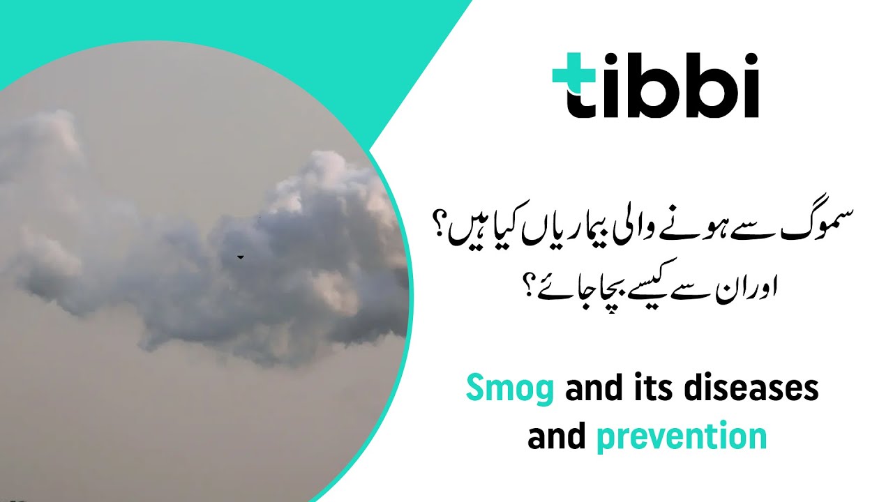 What Is Smog Definition Effect And Causes Of Air Pollution Tibbi what-is-smog-definition-effect-and-causes-of-air-pollution-tibbi