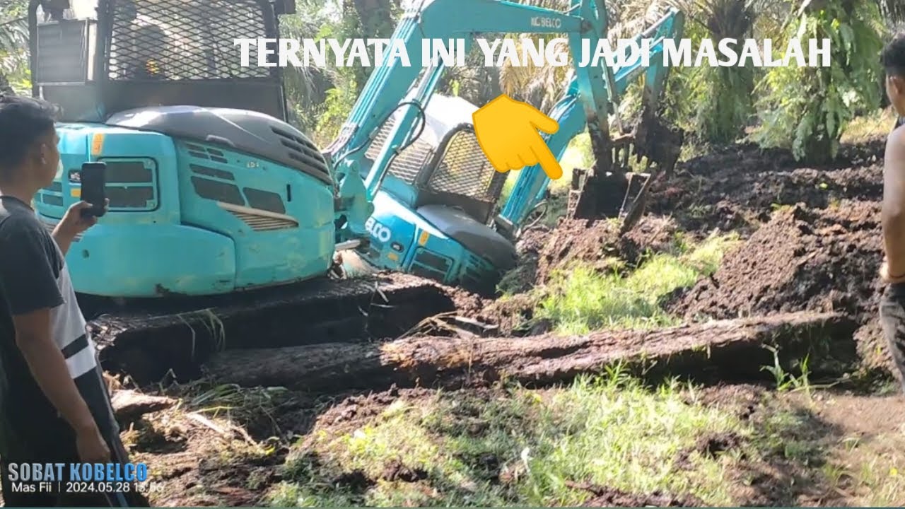 Butuh Perjuangan Keras Excavator Kerja Di Lokasi Ini, Mounding Akar ...