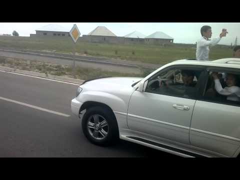 65 95 гуляет 2013 год