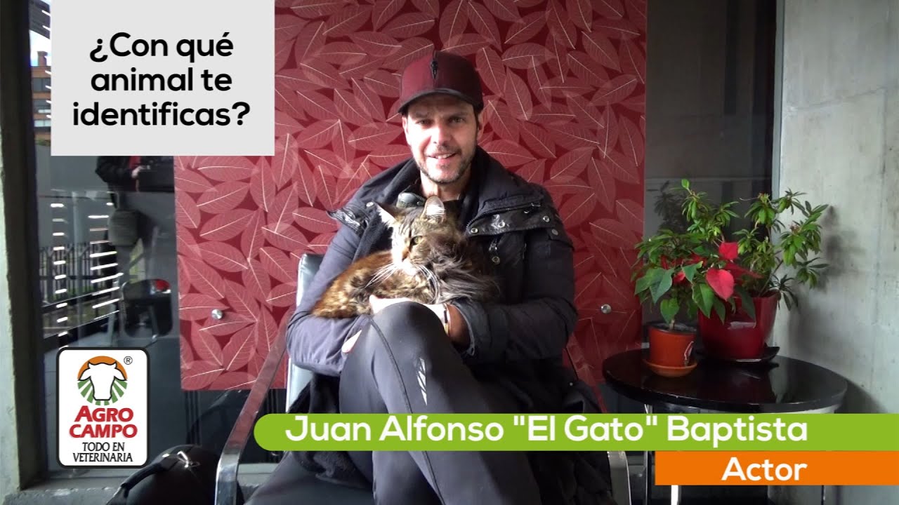 Portada de infarto 😍 ¡Juan Alfonso "El Gato" Baptista y Chaplin en ...