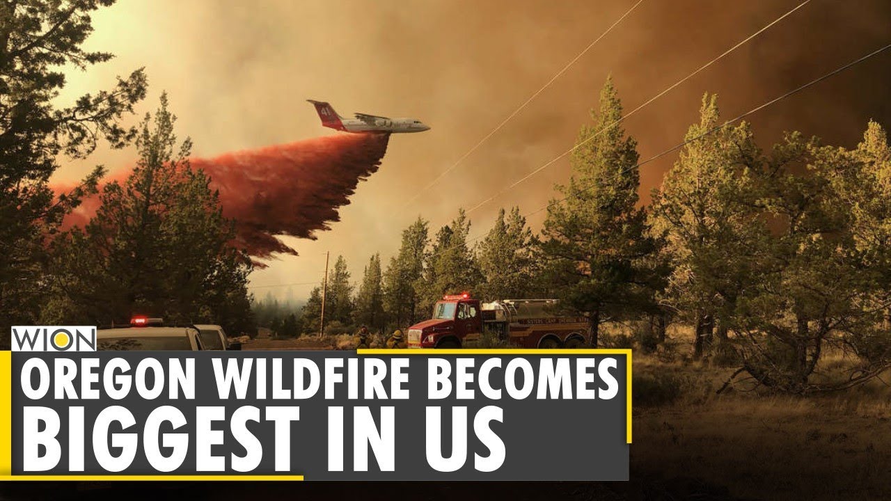 Oregon wildfire becomes biggest in the nation, burning over 200,000 ...