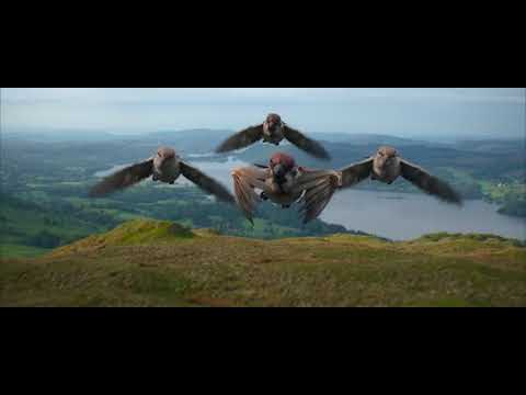 Рэп птиц из фильма \