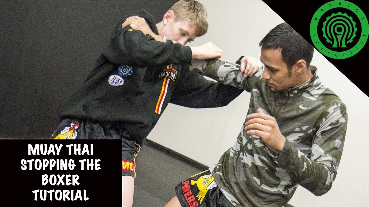 Muay Thai Stopping the Boxer Tutorial - YouTube