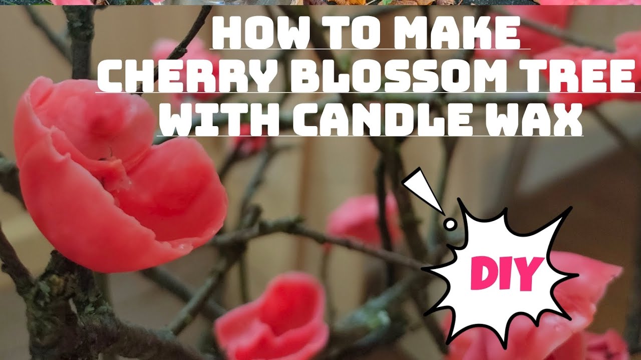 Wax flower/candle flower/DIY cherry blossom/bonsai tree #diy #art # ...