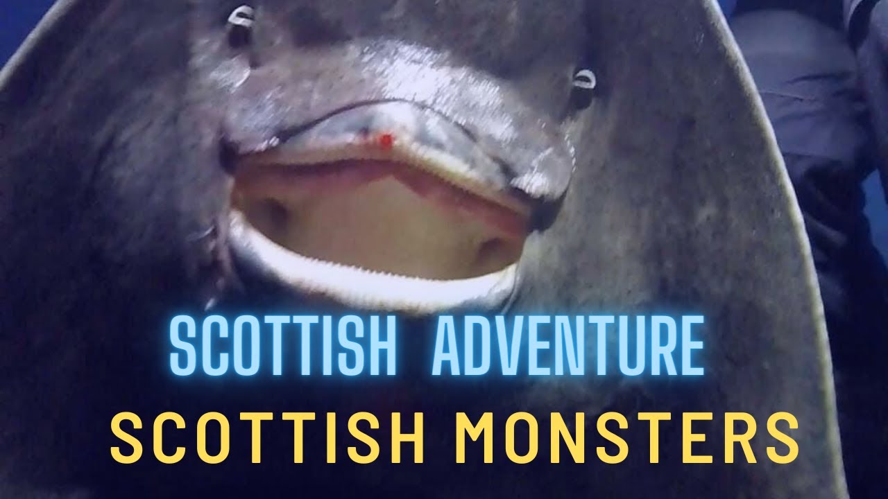 SCOTTISH MONSTER A SKATE FISHING ADVENTURE. UK sea fishing Pt 1 - YouTube