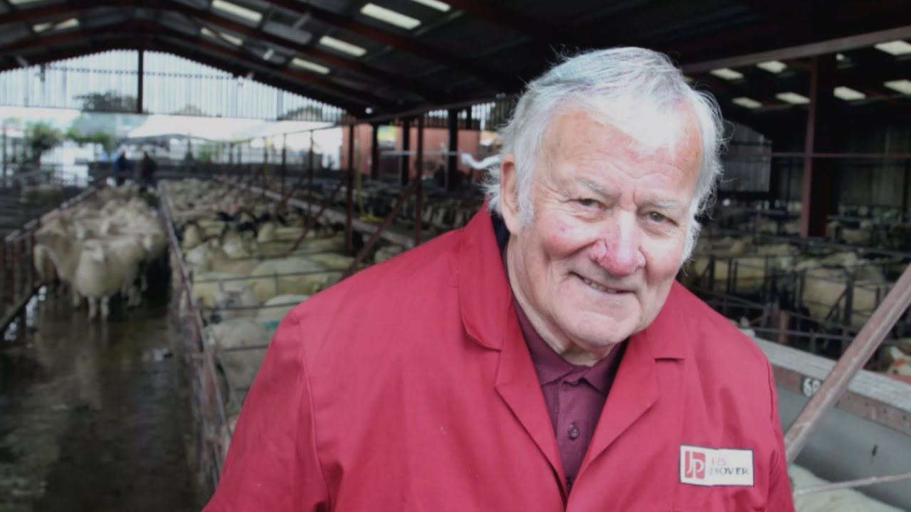 The world of Auctions Unveils Shocking Secrets of July Lamb Prices ...