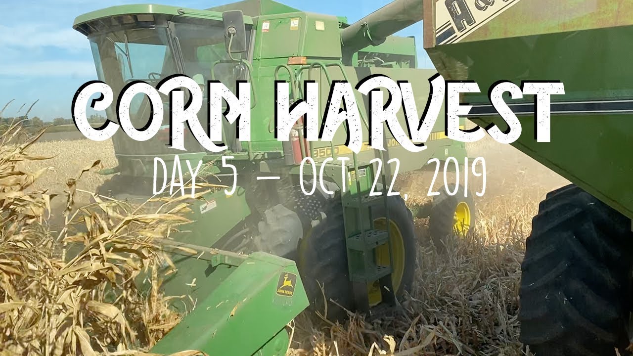Bankout Wagon or Grain Cart? - YouTube