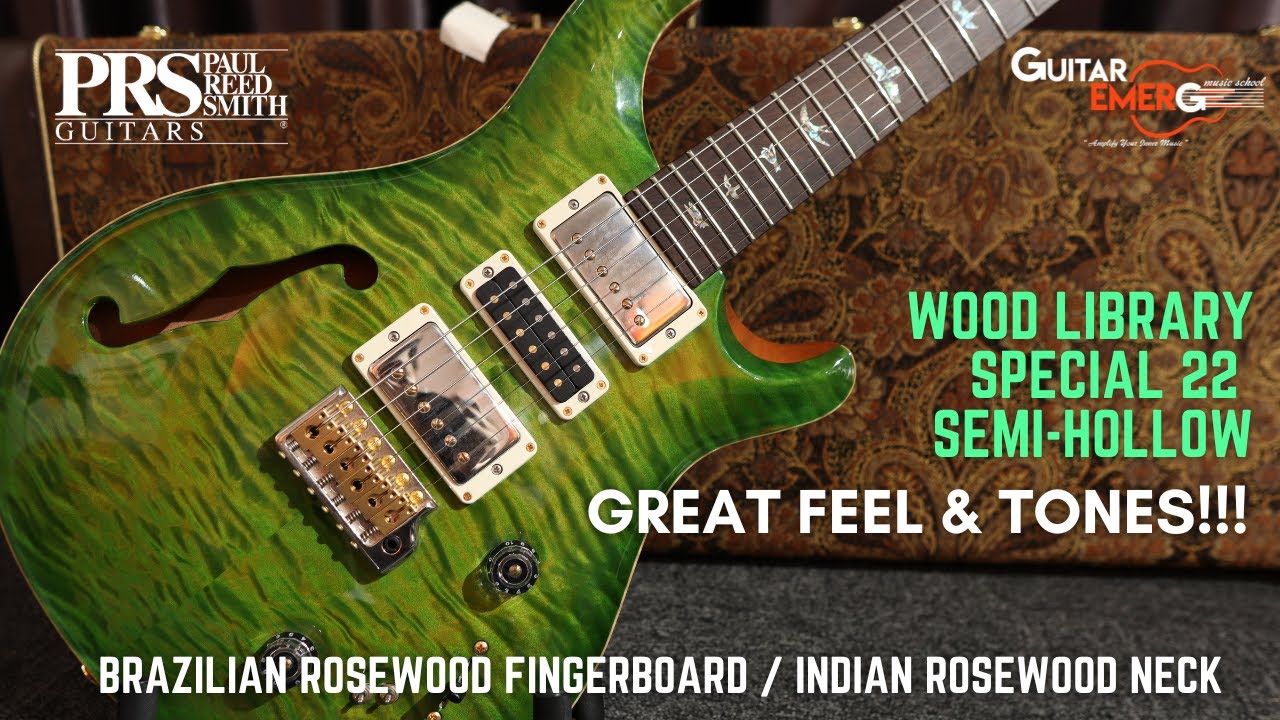 PRS Wood Library Special 22 Semi-Hollow Brazilian Rosewood Fretboard ...