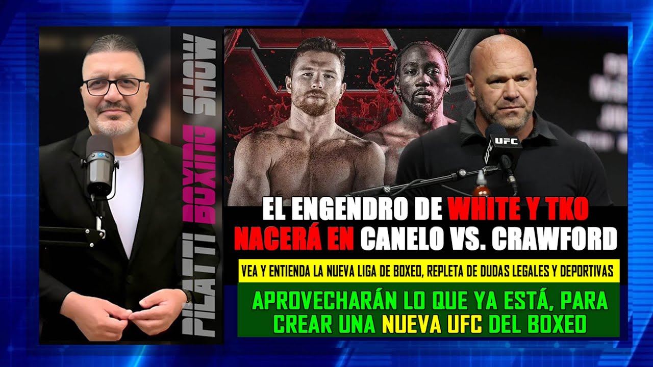 Análisis profundo: Liga de Boxeo TKO. ¿De qué se trata? ¿Cuáles son sus ...