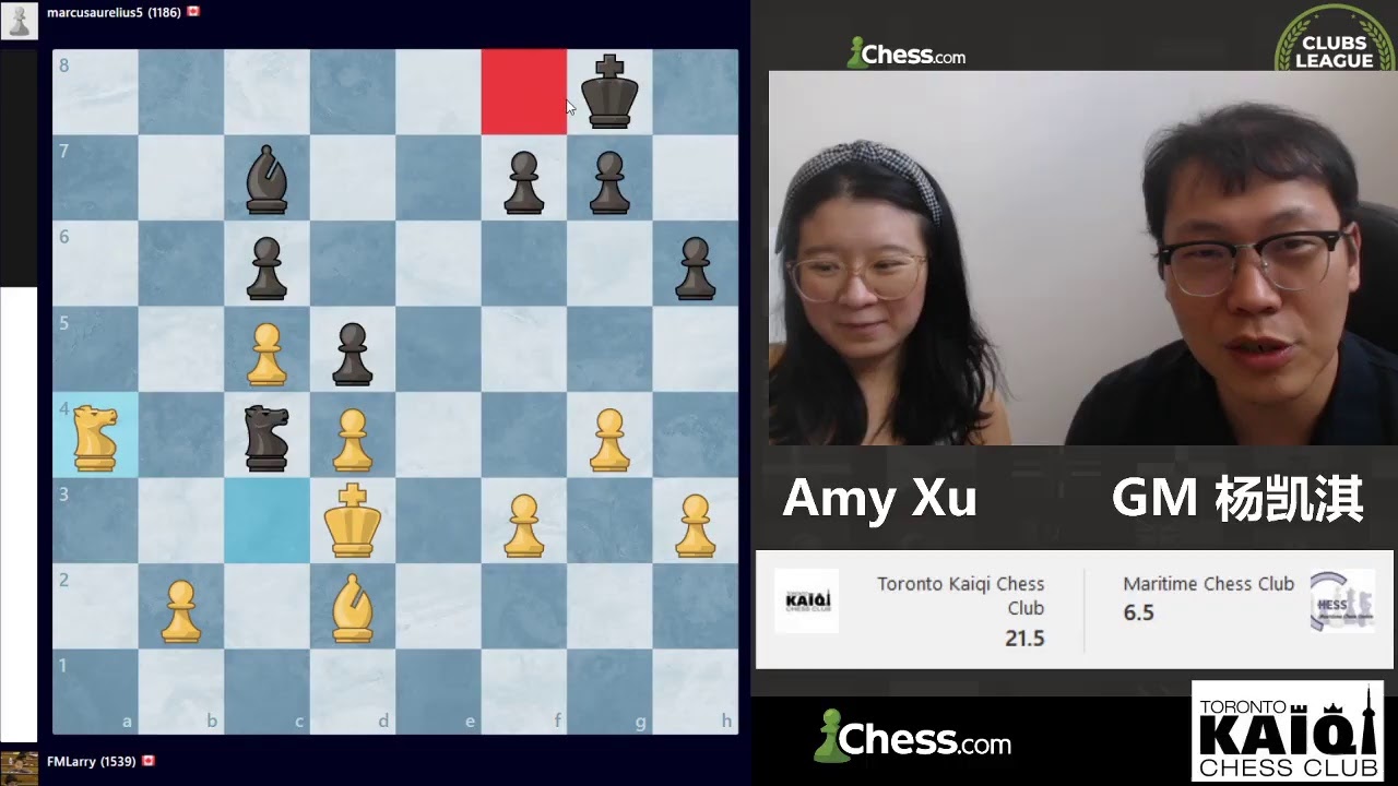 Kaiqi Yang Live Stream - YouTube