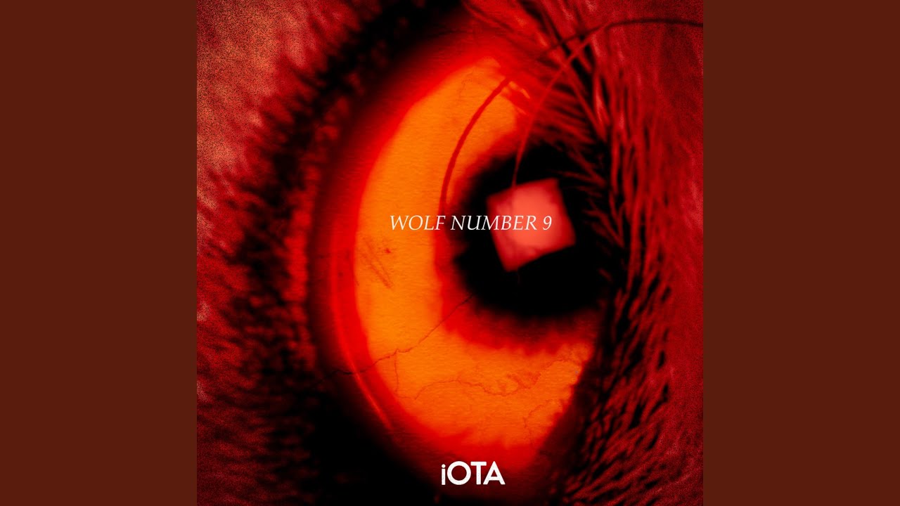 Wolf Number 9 - YouTube