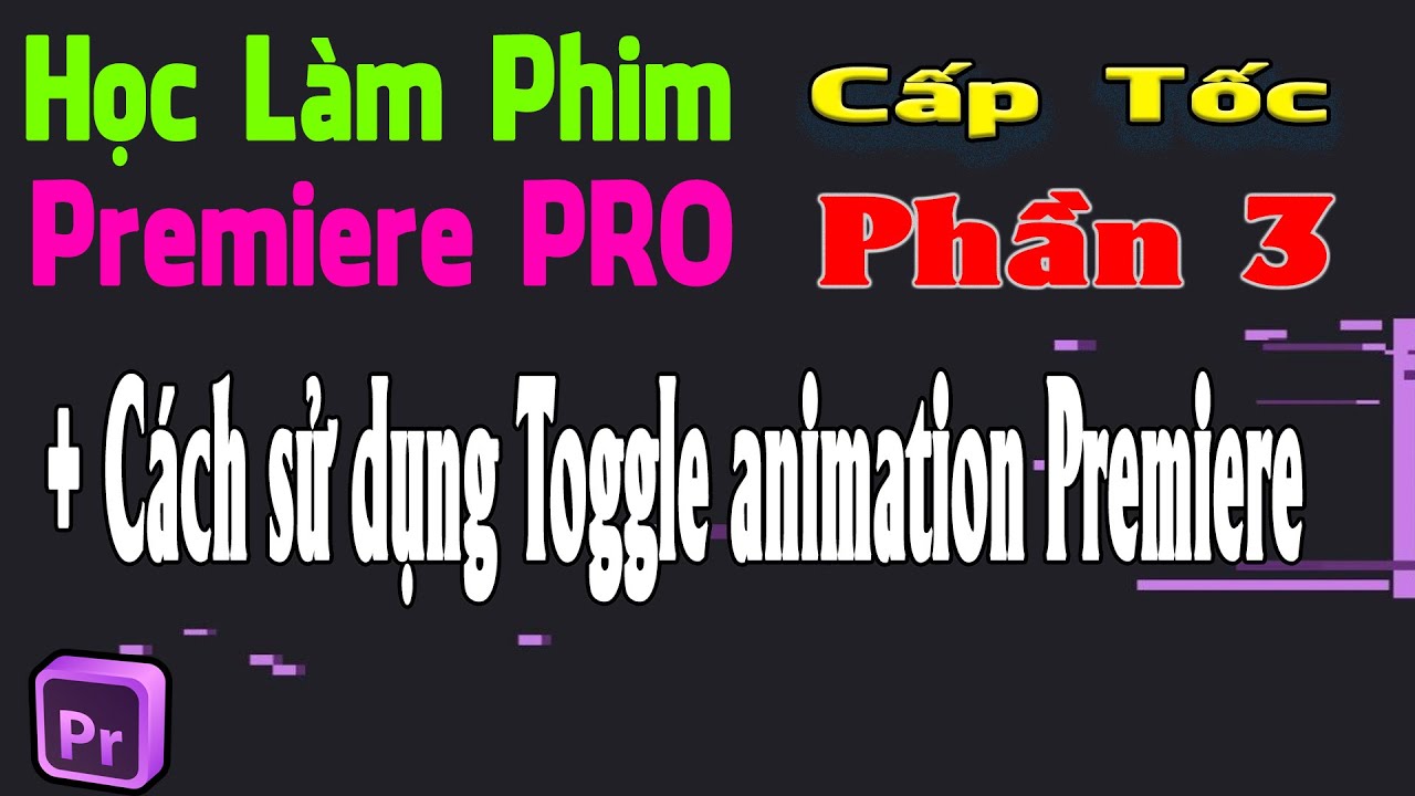 Cách sử dụng Toggle animation Premiere - Học làm phim Premiere cấp tốc ...
