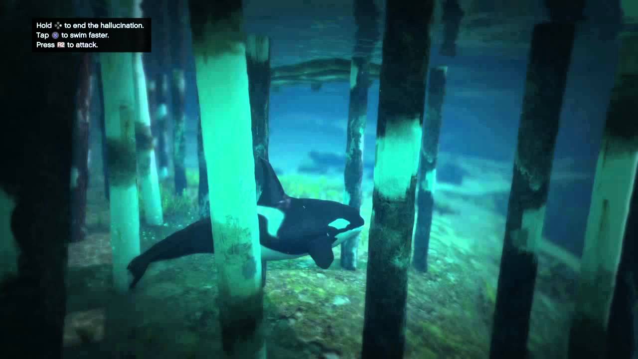 GTA V: How to play as a shark!! Peyote location 1 - YouTube