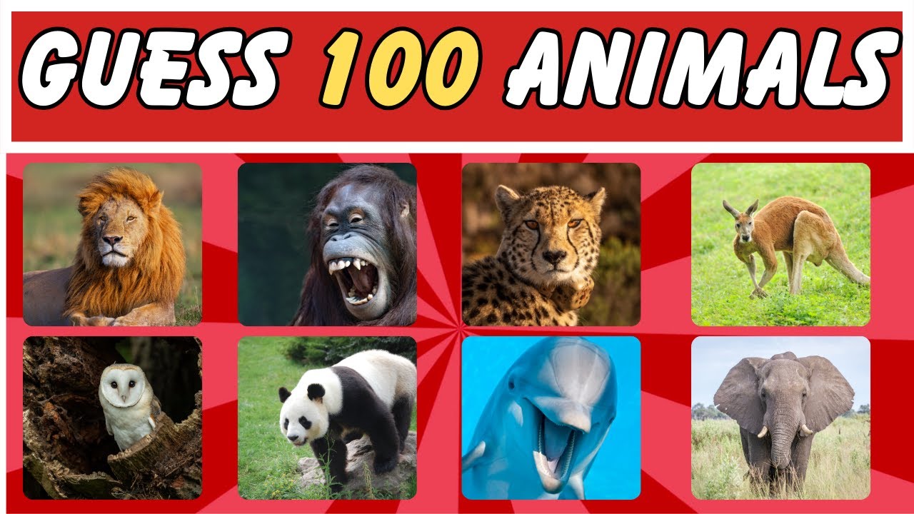 GUESS 100 ANIMALS in 3 Seconds! | Fun Picture Challenge - YouTube