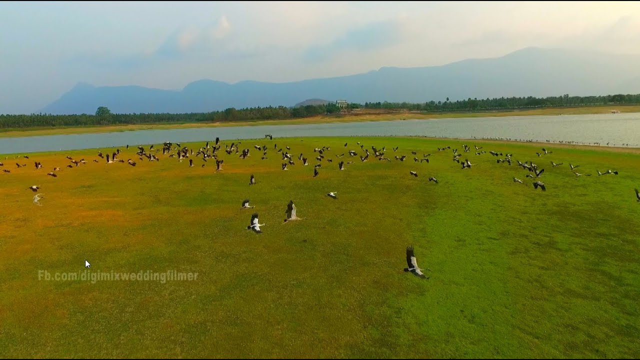 Chulliyar Dam Aerial View | Palakkad, Muthalamada - YouTube