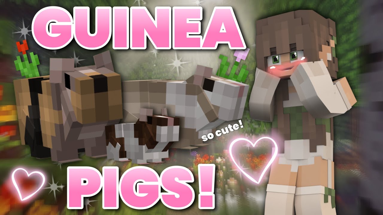 Finding GUINEA PIGS in Minecraft! | Giddy Guinea Pigs - YouTube